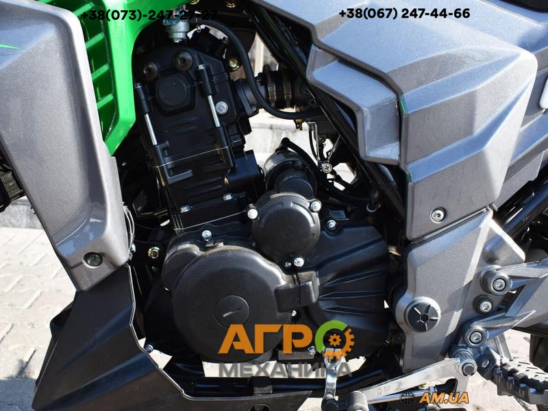 Мотоцикл Senke Leopard 300 (зелёный) цена на Am.ua