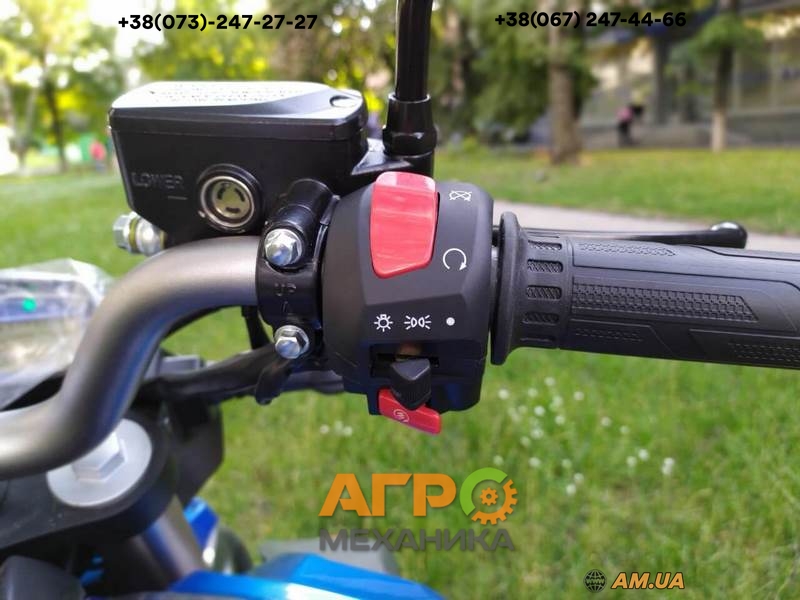 Мотоцикл Senke Leopard 300 (зелёный) цена на Am.ua