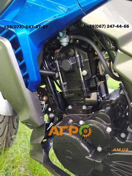Мотоцикл Senke Leopard 300 (зелёный) цена на Am.ua