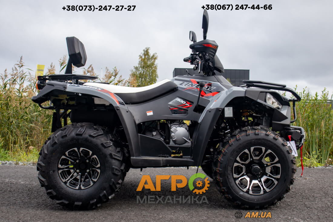 Квадроцикл LINHAI LH300 ATV-D-EFI Promax купить в Киеве (112683 ...