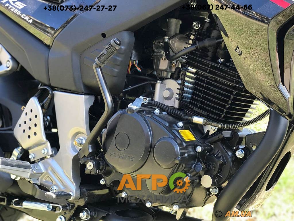 Мотоцикл FORTE FT250-CKA (красный) купить в Киеве, выгодные цены на ...
